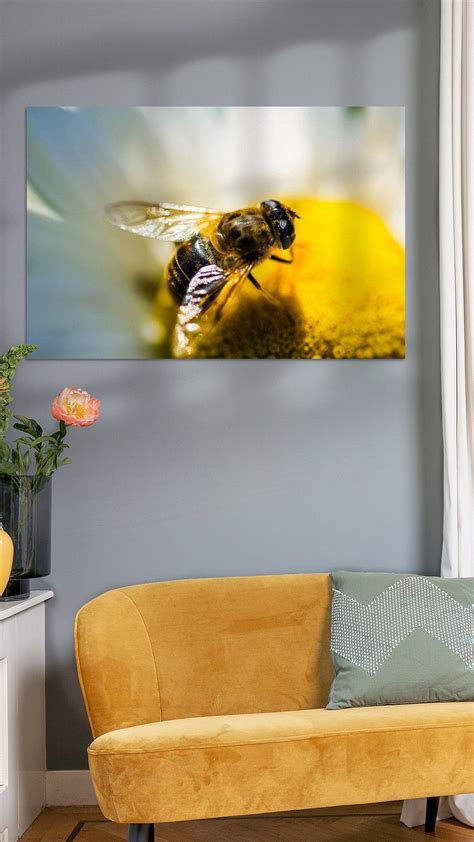 Bij Bee Van Dave De Klerk Op Canvas Behang En Meer Throw Pillows Bee Pillows
