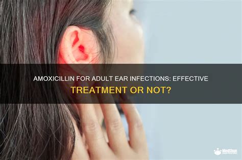 Amoxicillin For Adult Ear Infections Effective Treatment Or Not Medshun
