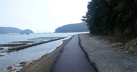 산업단신 바스프 친환경 해안보호 솔루션 엘라스토코스트 적용