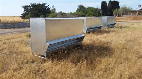 Sheep Lick Feeders Livestock Equipment Livestock Feeding