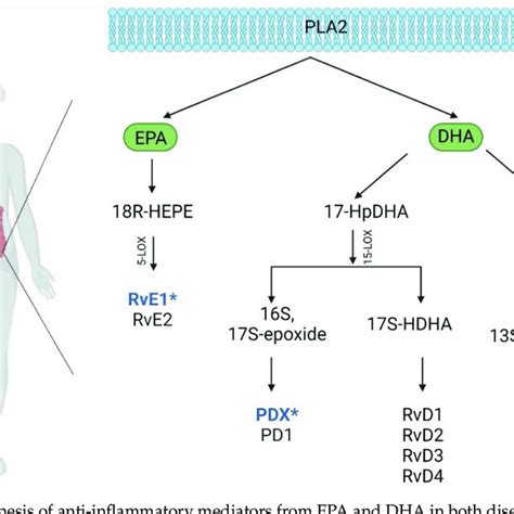 The Montreal Classification For Crohns Disease Cd And Ulcerative