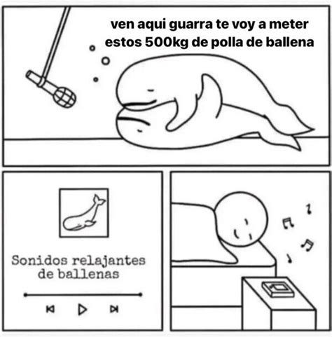 ¿cómo Amaneció Mi Chiquita Fleje De Cosas