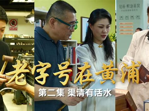 涉外法治系列课程之国际证据法第七讲 新华丝路