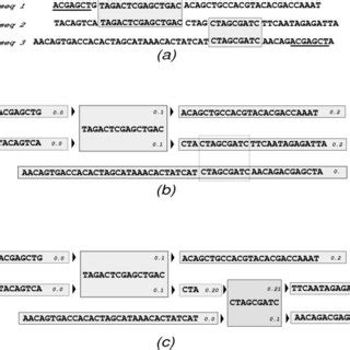 Alignment Of Sequence Fragments Two Sequences Initially In Their Own Download Scientific