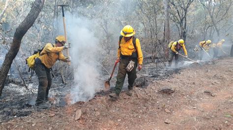 Incrementa Apoyo Para El Control De Incendios Forestales Comisión
