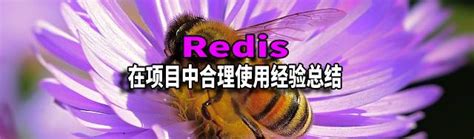 Redis 在项目中合理使用经验总结 哔哩哔哩
