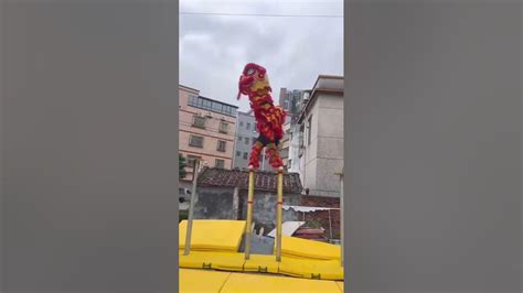 没有失败哪有成功 台上一分钟台下十年功 高桩醒狮 醒狮文化 醒狮传承 国家级非物质文化遗产 Liondance Youtube