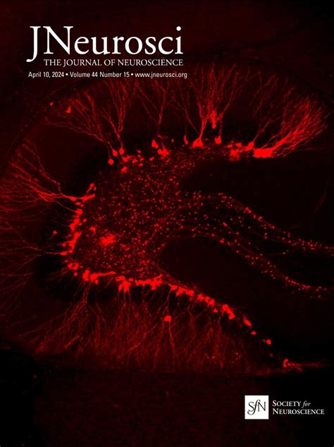 Embodied Neural Systems Can Enable Iterative Investigations Of Morally