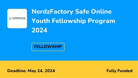 Nerdzfactory Safe Online Youth Fellowship Program 2024 Scholarshiptab