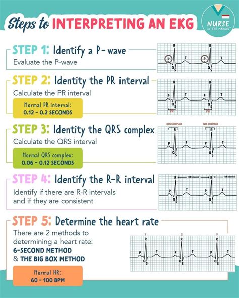 Kristine Tuttle On Instagram Step To Interpreting An Ekg Step 1 → Identity A P Wave Evaluate