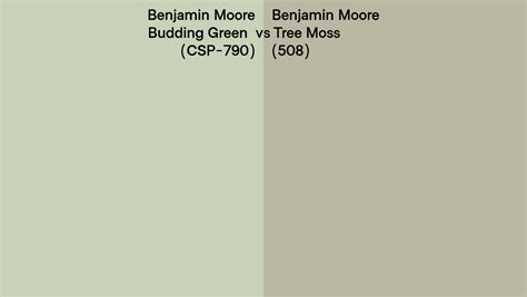 Benjamin Moore Budding Green Vs Tree Moss Side By Side Comparison