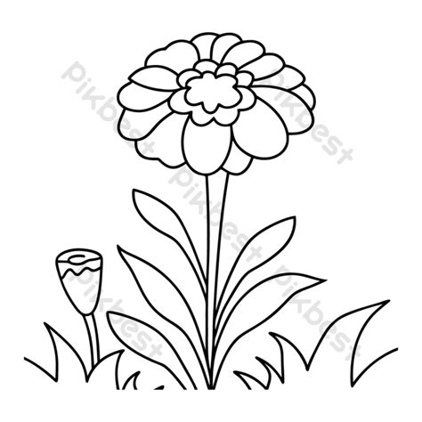 Beautiful Flower Line Art Vector Illustration Png Images Eps Free