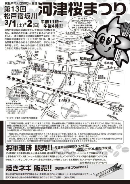 3 1土2日松戸宿坂川河津桜まつりが春雨橋親水広場から松戸神社松龍寺レンガ橋にかけての坂川沿道にて開催2025 松戸