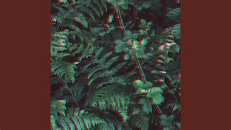 Gardens Youtube