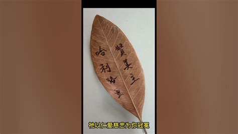 我的心 你要称颂耶和华 诗歌分享 （钢琴音乐）附歌词 Praise The Lord O My Soul Hymn Sharing