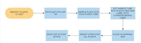 Mf Sex Testing Self Service Chitown Seeds