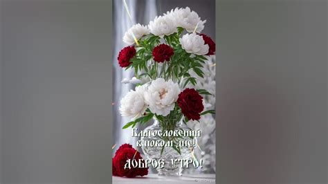 Доброе утро 💝Пусть день будет хорошим и ясным💖 Настроение просто