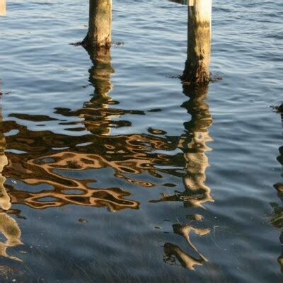 Sail Blog Terri Potts Chattaway