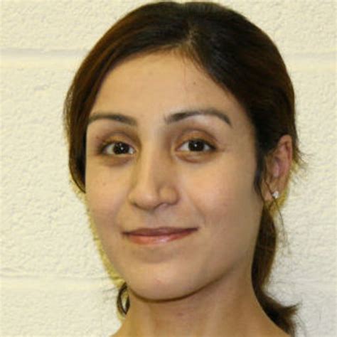 Elham Hamed Postdoctoral Fellow Phd Northwestern University Il