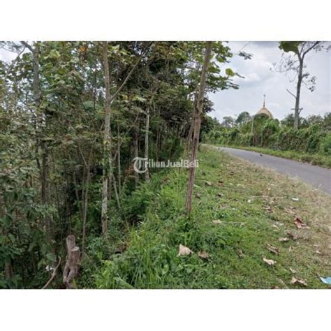 Jual Tanah 3500 M Harga Per Meter Lokasi Pinggir Jalan Aspal Dekat