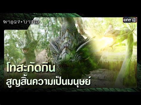 ช่องวัน 31 ถ่ายทอดสด “วอลเลย์บอลหญิง วัน อาเซียน กรังปรีซ์ ครั้งที่ 2” เชียร์นักตบสาวไทย ทุก