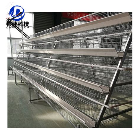 Modern Design Type Automatic Egg Poultry Farms Battery Layer Chicken