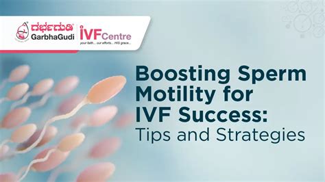Boosting Sperm Motility for IVF Success: Tips and Strategies