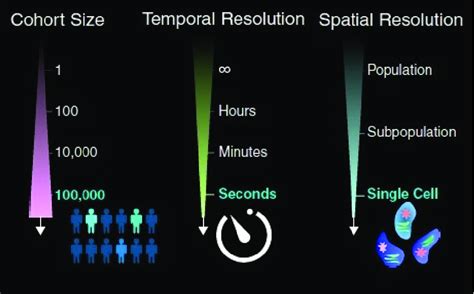 High Throughput Metabolomicscohort Size Spatial Resolution And Download Scientific Diagram