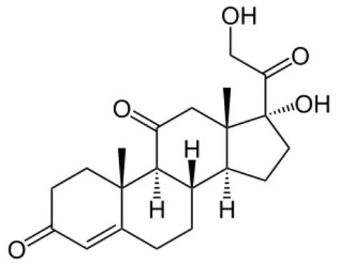 What Is The Difference Between Cortisone And Hydrocortisone Pediaacom