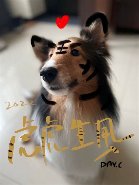 靠設計廣告 新年快樂！福虎生豐！ 都靠過來一起發大財！🐯🧧 ⁡ 靠設計 靠就對了 大圖輸出 展場設計