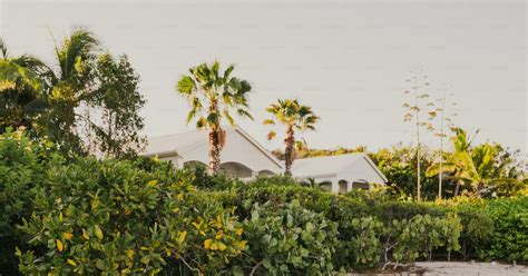 모래 사장 위에 잔디 의자 두 개 사진 Unsplash의 추상적인 이미지