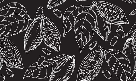 Seamless Pattern Of Cocoa Beans Fruits And Leaves Illustration With Lines Sketch 48962058