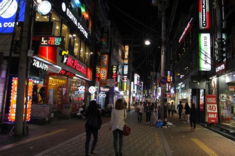 Daegu Days Daegu Nights Notes From Camelid Country