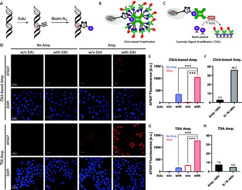 Click Based Amplification Designed To Facilitate Various Target Labelling Modes With Ultralow
