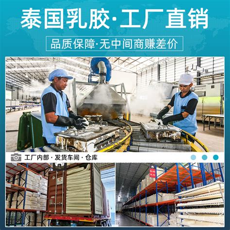 泰国天然纯乳胶垫床垫家用软垫橡胶床垫原装进口5 10cm席梦思定制 虎窝淘