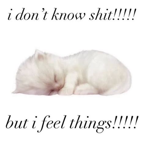 Keha Is Kween — Younger Joe I Didnt Mean To Look Like A Jackass