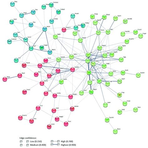 String Analysis Of Genes From The Placentacortex Signature And