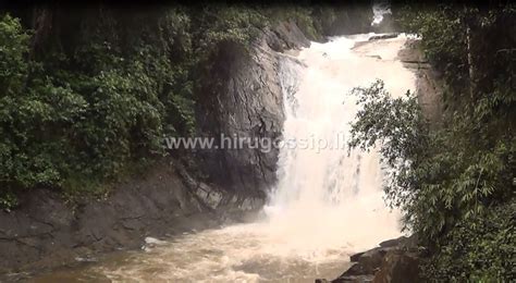 විවාහ වෙලා මාස 6 යිබිරිඳගේ උපන් දිනය වෙනුවෙන් මිතුරන් සමඟ පාටි දමා