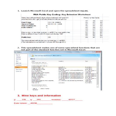 Launch Microsoft Excel And Open The Spreadsheet Rsa Spreadsheet