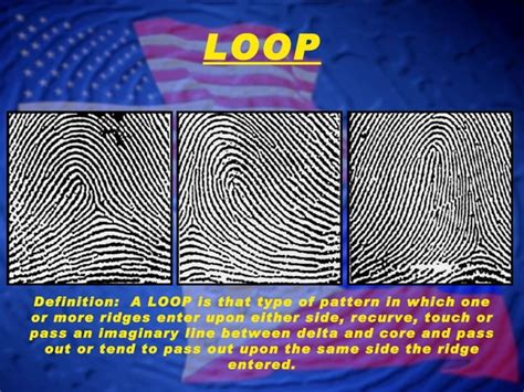 Fingerprint Classification Slide 1 Ppt Science