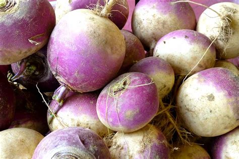 18 Science Backed Health Benefits Of Eating Organic Turnips How To Ripe