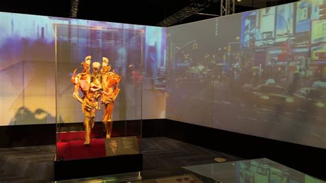 Body Worlds The Anatomy Of Happiness At The Science Museum Of Virginia