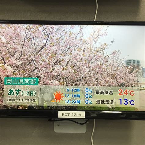 橋本昌子まちゃこフリーアナ Macyako53 Twitter