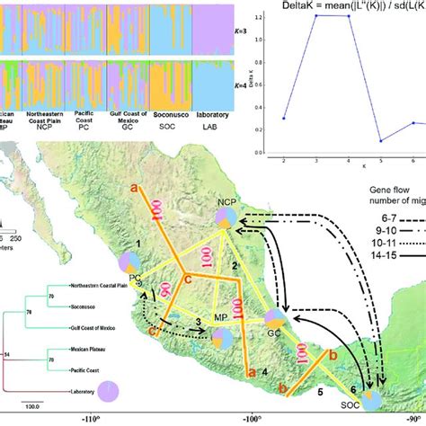 Genetic Diversity Of Nine Ndna Microsatellite Loci Download