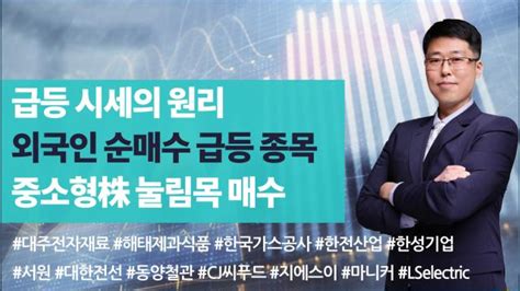 주식투자 급등 시세의 원리와 활용법 외국인 순매수 급등 종목대주전자재료 해태제과식품 한국가스공사 한전산업 한성