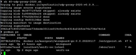 udp udp proxy 2020 container started but not working · issue 82
