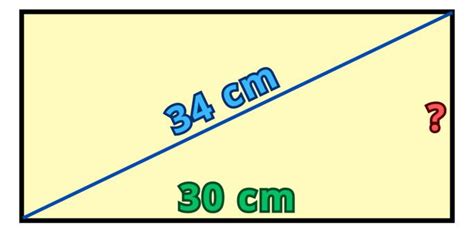Área De Un Rectángulo Fórmula Y Ejercicios Resueltos Enciclopedia Significados