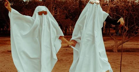 Wordpress Vs Ghost 13 Expert Answers For Your Needs