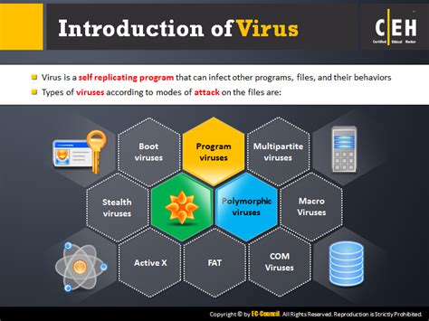 Writing Virus Codes EC Council Store