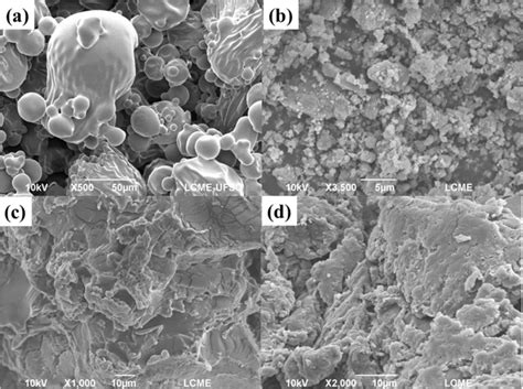 Sem Images Of A X B Fe O And Cd Hxa Fe O With Different Download Scientific Diagram